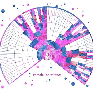 "Female Inheritance Chart, Female Inheritance, Female X-DNA Inheritance ...