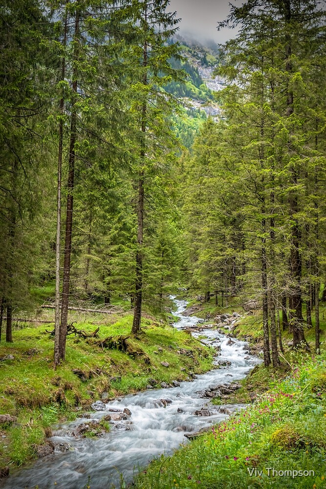 "The Flow of Nature" by Viv Thompson | Redbubble