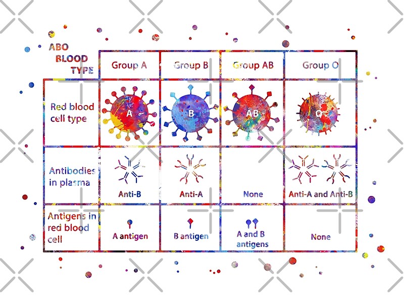 "Human ABO blood type" by Rosaliartbook | Redbubble
