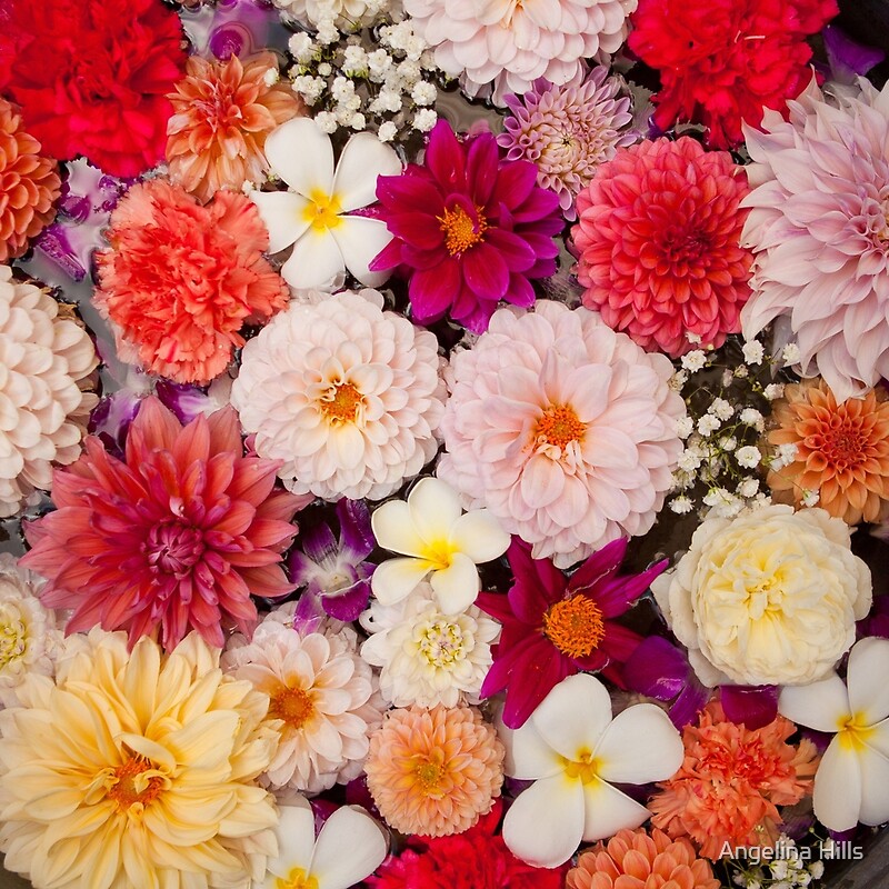 "Leia Flowers" by Angelina Hills | Redbubble