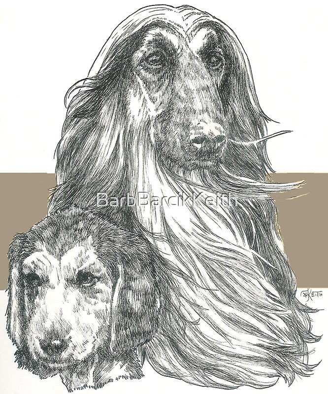 "Afghan Hound Father & Son" by BarbBarcikKeith | Redbubble