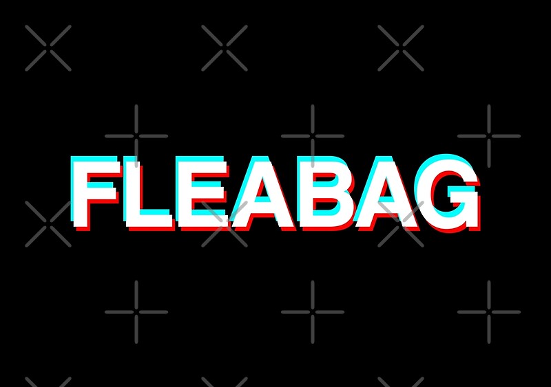 "FLEABAG Logo Glitch - White" by VikingElf | Redbubble