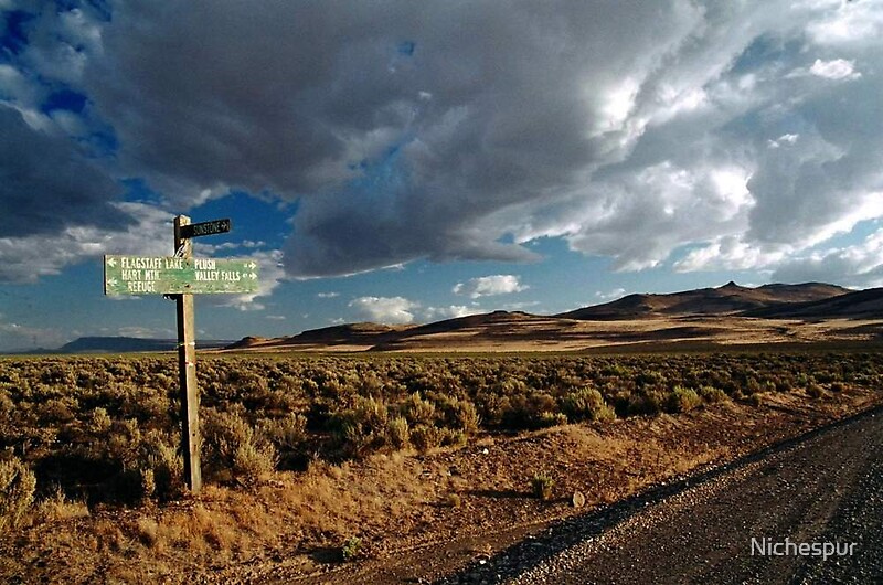 "Road to Plush Oregon" by Nichespur | Redbubble