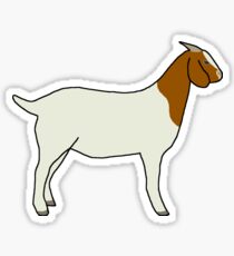 Boer Goat Stickers | Redbubble