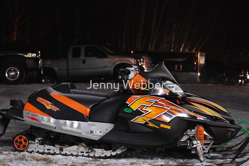 "F7 Firecat" by Jenny Webber | Redbubble