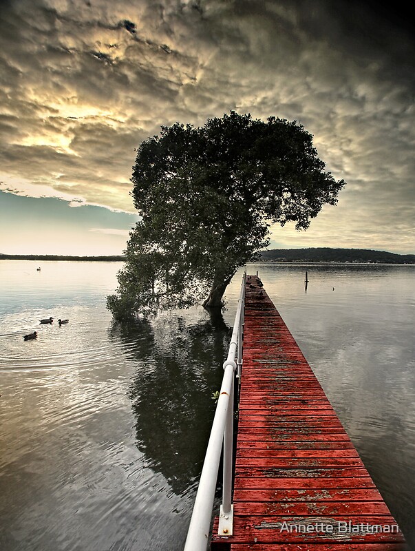 "Red Jetty" by Annette Blattman | Redbubble