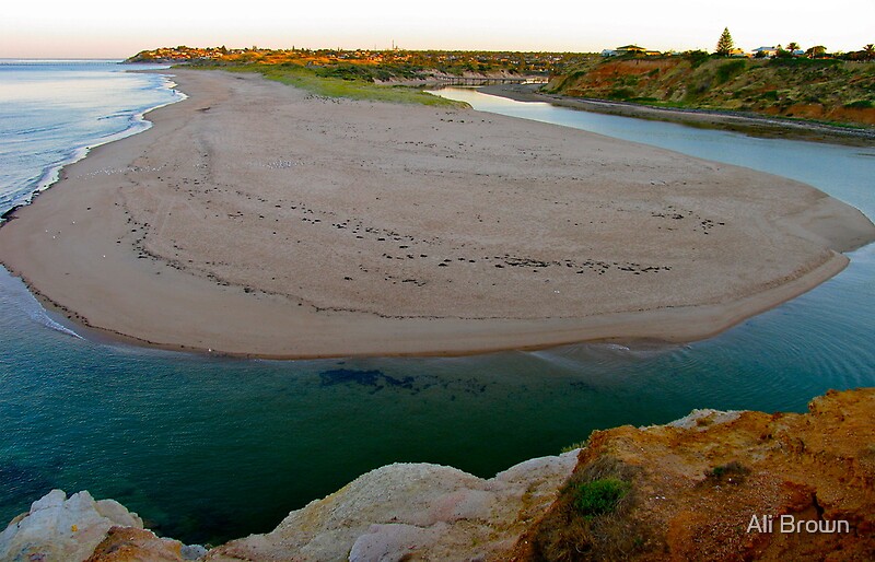 "Port Noarlunga South, River Mouth...Australia" by Alison Brown | Redbubble