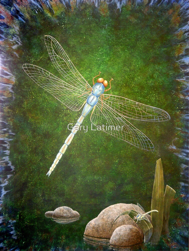 "'Dragonfly' - Ornamental style" by Gary Latimer | Redbubble