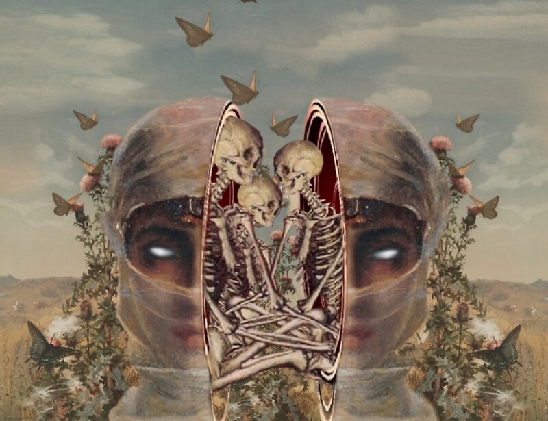 "STILL LIFE" by Welderwings | Redbubble