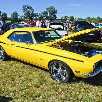 "Yenko Camaro" Poster for Sale by TGrowden | Redbubble