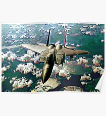 F 14 Tomcat Posters | Redbubble