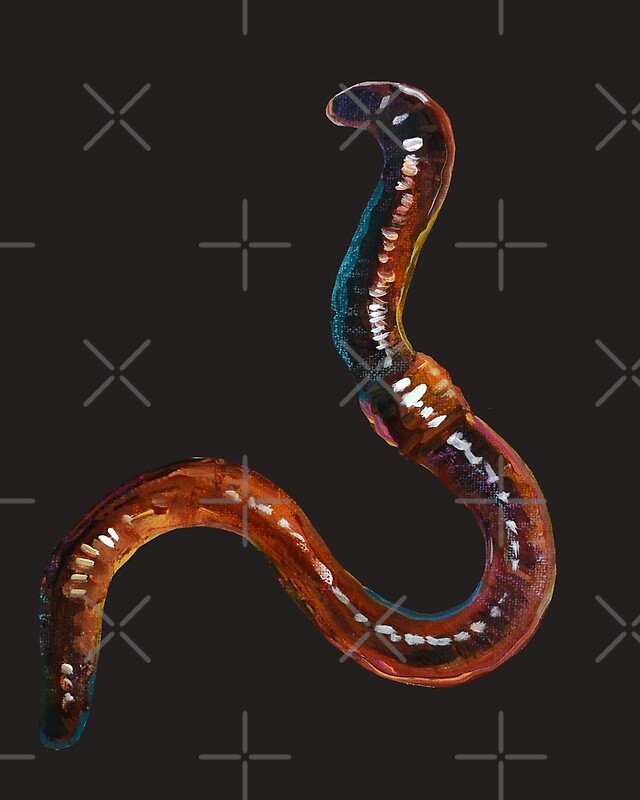"Creepy Cute Earthworm Sticker" by RobertPhelpsArt | Redbubble