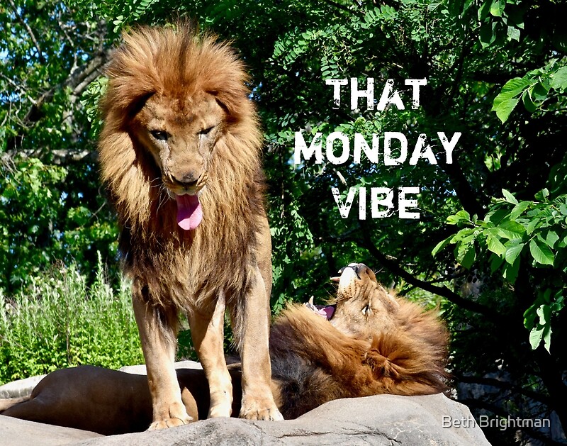 "That Monday Vibe with lions" by Beth Brightman | Redbubble