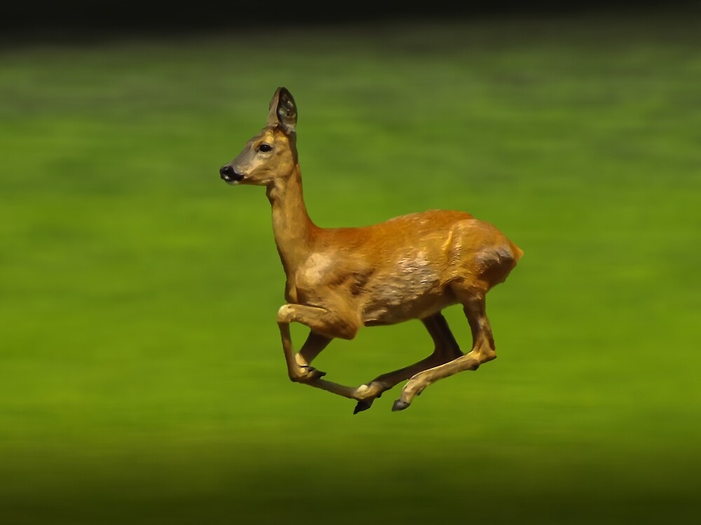 "Jumping doe in the meadow" by Guardi71 | Redbubble