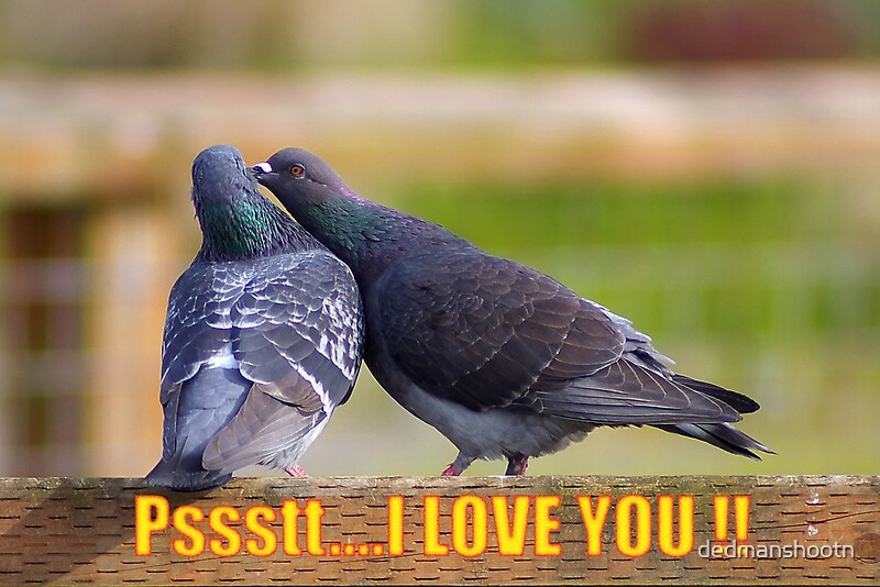 "psst... i love you card" by dedmanshootn | Redbubble