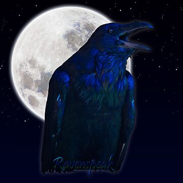"RavenSpeak - Fantasy Raven and Moon" Sticker for Sale by Skye Ryan ...