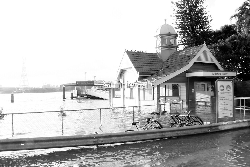 "Brisbane Floods - January 2011 - Bulimba Ferry Terminal" by SunnieGal ...