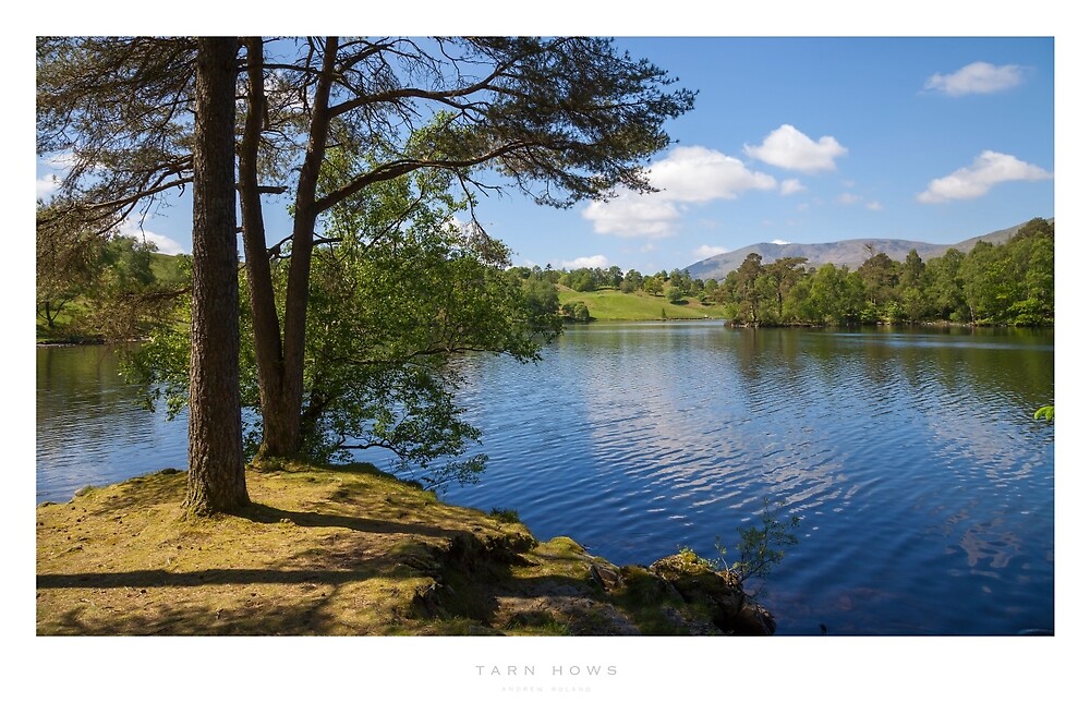 "Tarn Hows" by Andrew Roland | Redbubble