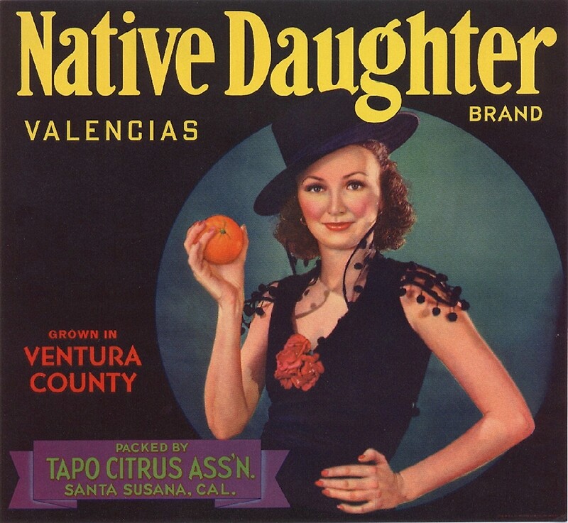 "Vintage Food Crate Label Native Daughter California Citrus Oranges Pin ...