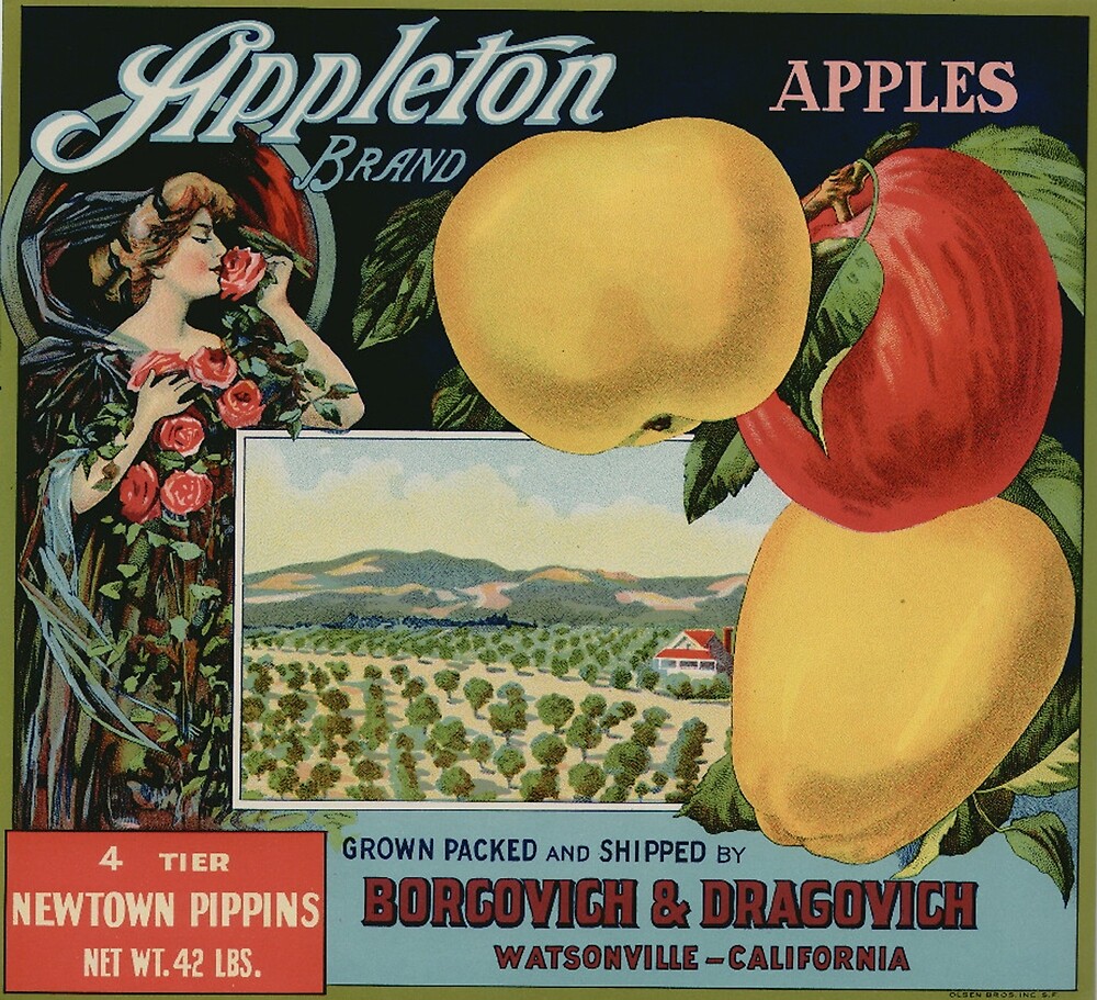 "Vintage Food Crate Label Appleton Brand Apples California Woman With ...