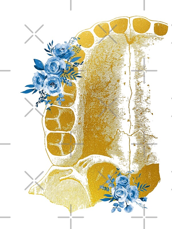 "Palate" by erzebetth | Redbubble