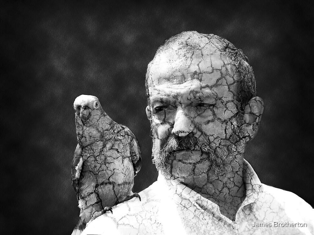 "Man With a Parrot" by James Brotherton | Redbubble