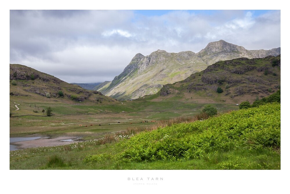 "Blea Tarn" by Andrew Roland | Redbubble
