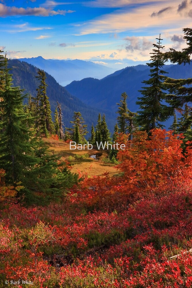 "Artist Point, North Cascade National Park, Washington State" by Barb ...