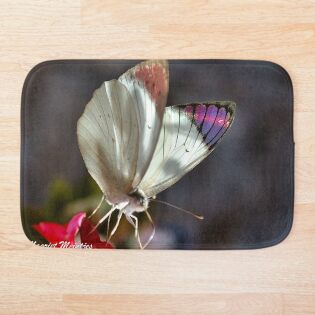 "BUTTERFLY SERIES - _Queen Purple Tip Colotis regina_" by Magriet ...