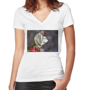 "BUTTERFLY SERIES - _Queen Purple Tip Colotis regina_" by Magriet ...