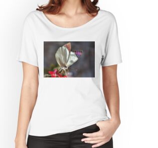 "BUTTERFLY SERIES - _Queen Purple Tip Colotis regina_" by Magriet ...