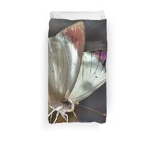 "BUTTERFLY SERIES - _Queen Purple Tip Colotis regina_" by Magriet ...