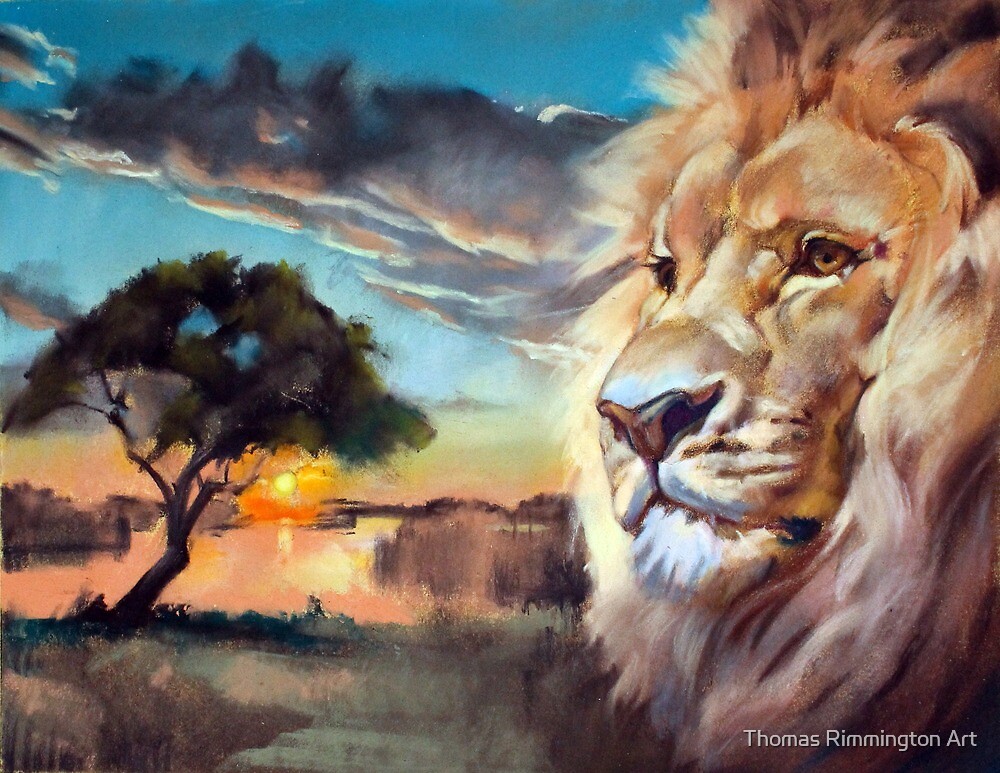 "Lion Sunset" by Thomas Rimmington Art | Redbubble