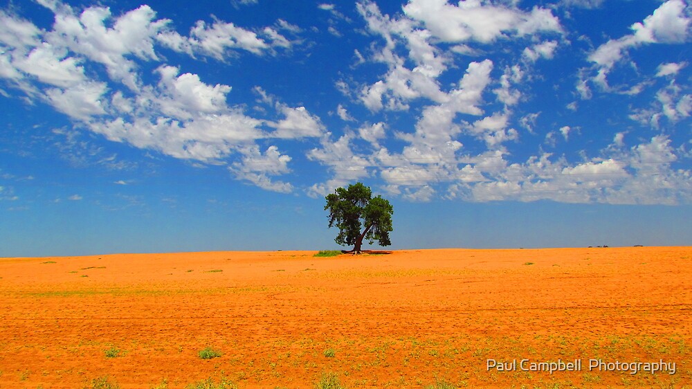 "Lone Tree in Outback Victoria" by Paul Campbell Photography | Redbubble