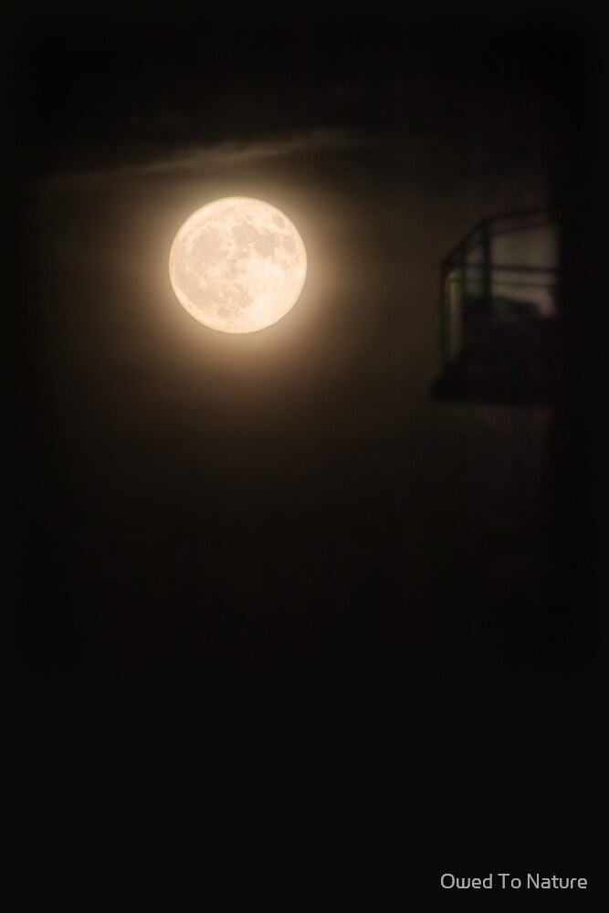 "Full Moon Balcony" by Owed To Nature | Redbubble