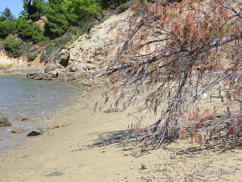 "Nudest Tree - Skiathos Greece" by alan whıteman | Redbubble