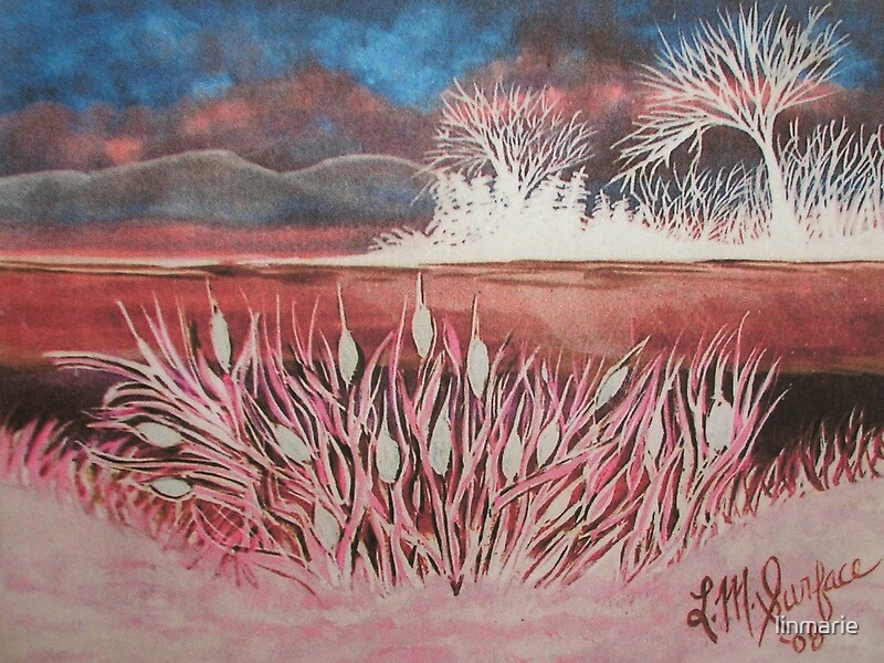 "Cattail Island" by linmarie | Redbubble