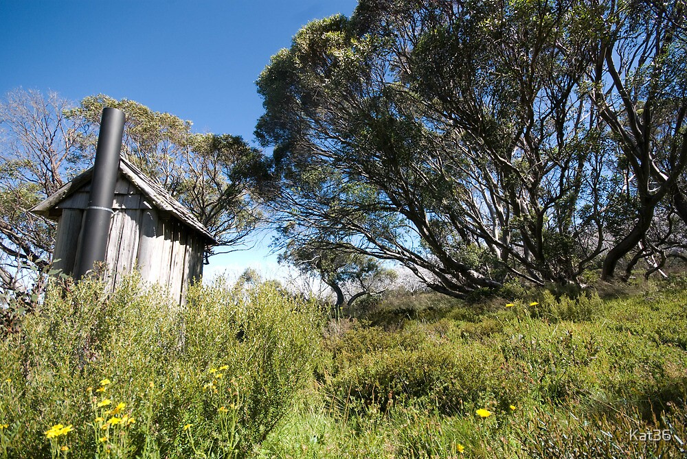"An Aussie Bush Loo" by Kat36 | Redbubble