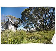 "An Aussie Bush Loo" by Kat36 | Redbubble