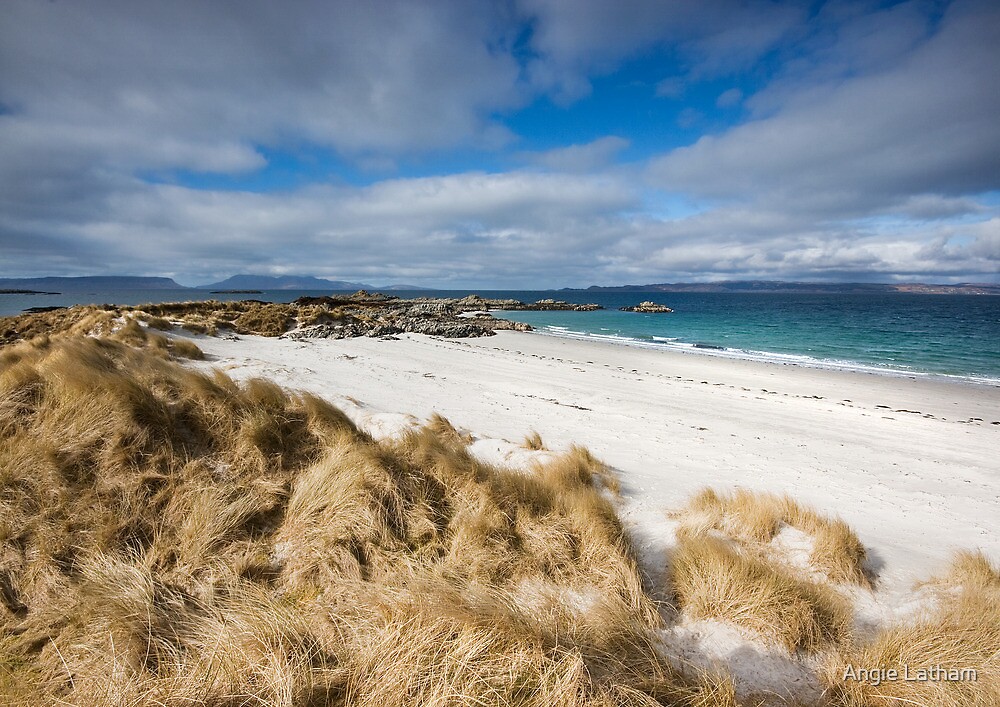 "Scotland: Windswept Beach" by Angie Latham | Redbubble