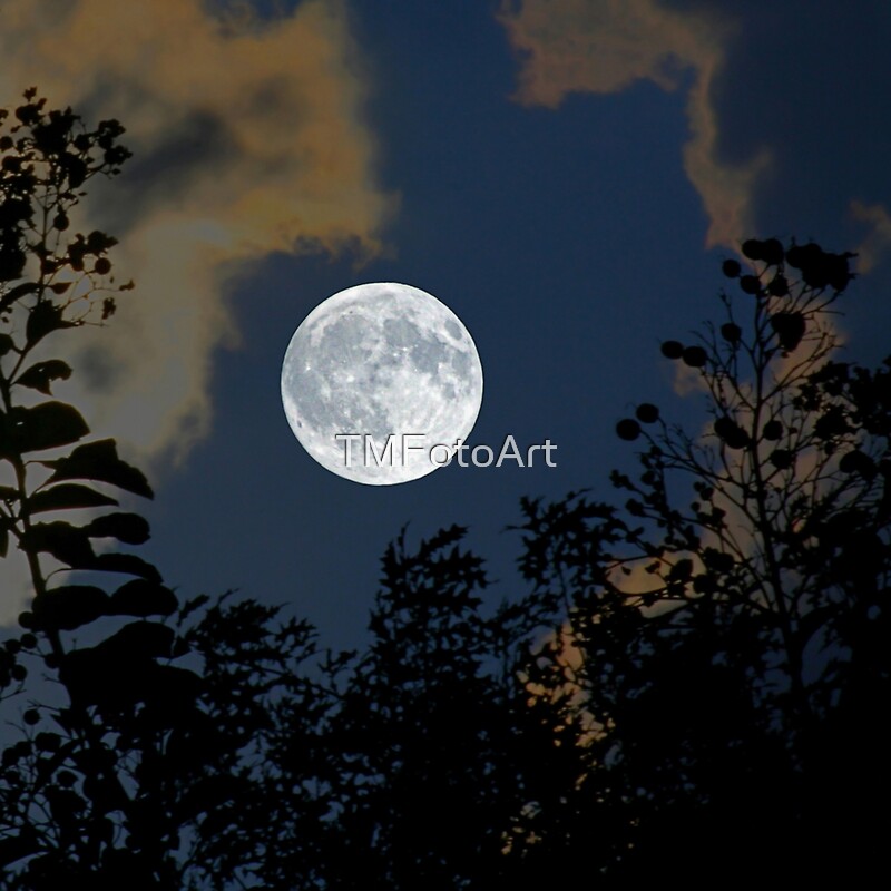 "Moon Glo" by Trish Mistric | Redbubble