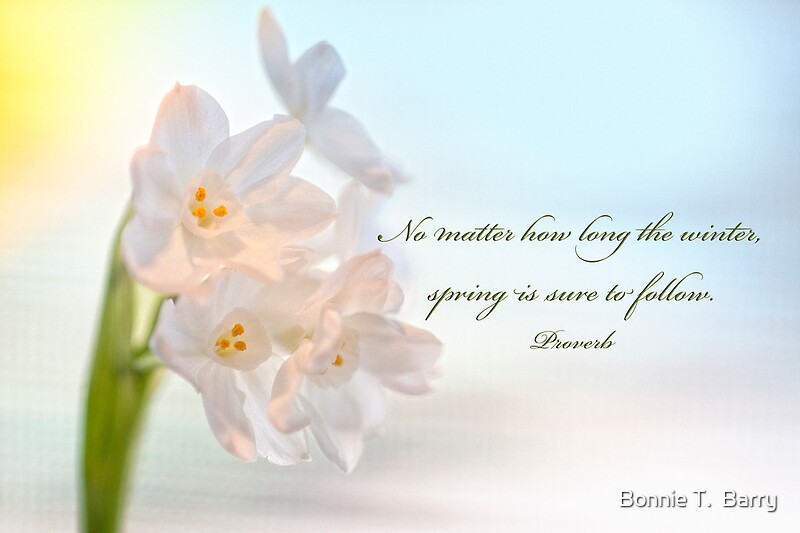 "No matter how long the winter, spring is sure to follow" by Bonnie T ...