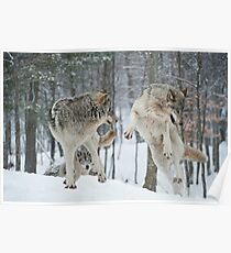 Dances With Wolves Gifts & Merchandise | Redbubble