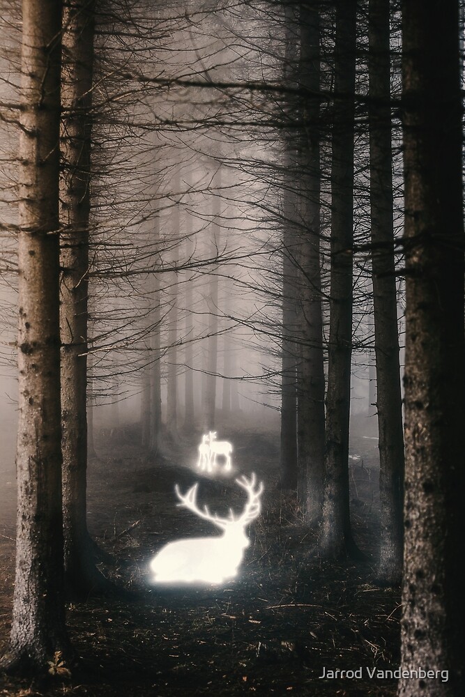 "Ethereal" by Jarrod Vandenberg | Redbubble