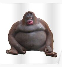 Funny Monkey Posters | Redbubble