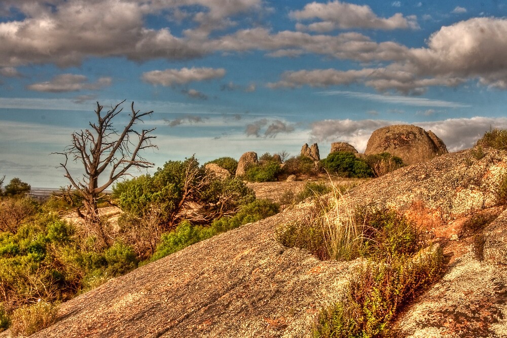 "Terrick Terrick National Park, Victoria, Australia" by John Bullen ...