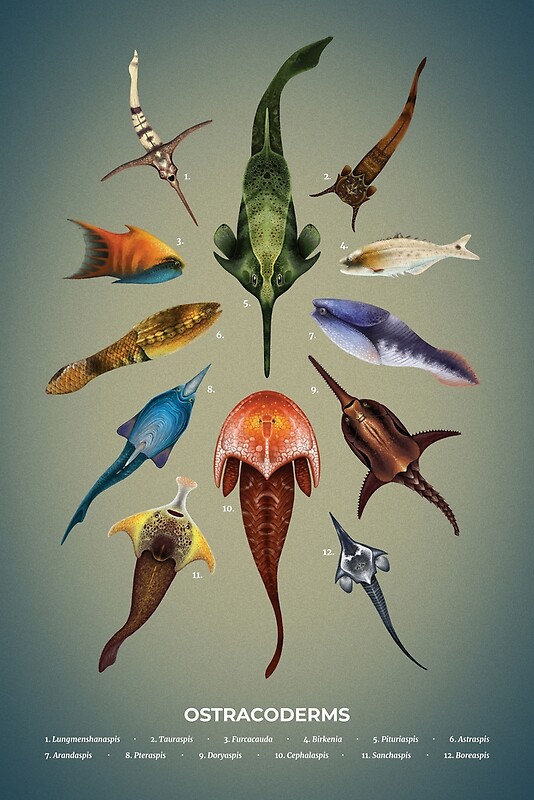 "Ostracoderms Plate" by Franz Anthony | Redbubble