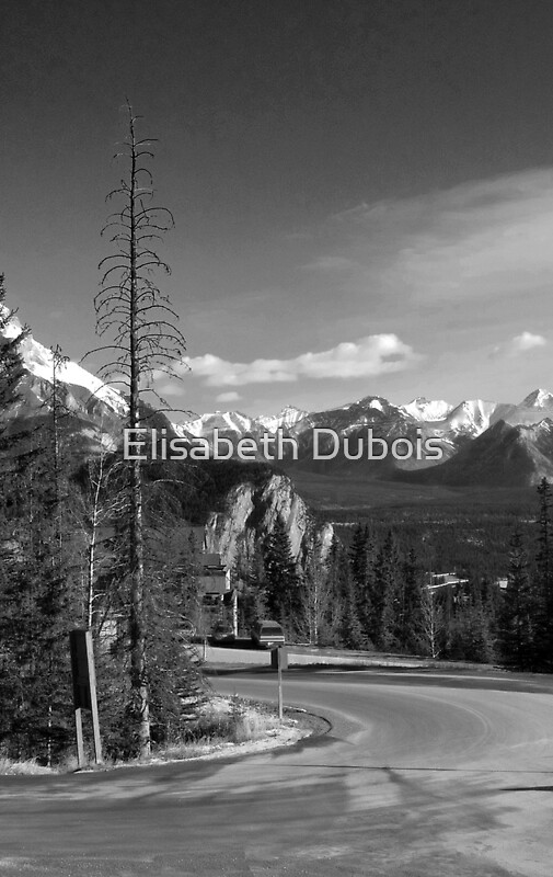 "A little bit of Banff series # 5" by Elisabeth Dubois | Redbubble