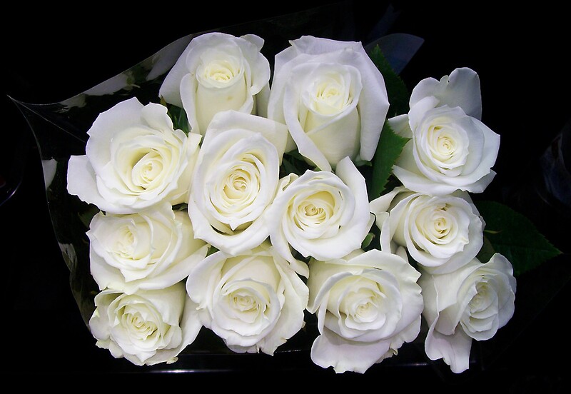 "Mommy's White Roses" by Mary Ann Battle | Redbubble