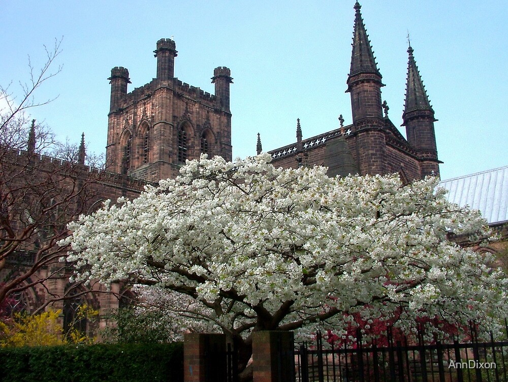 "Spring in Chester, Cheshire. England" by AnnDixon | Redbubble